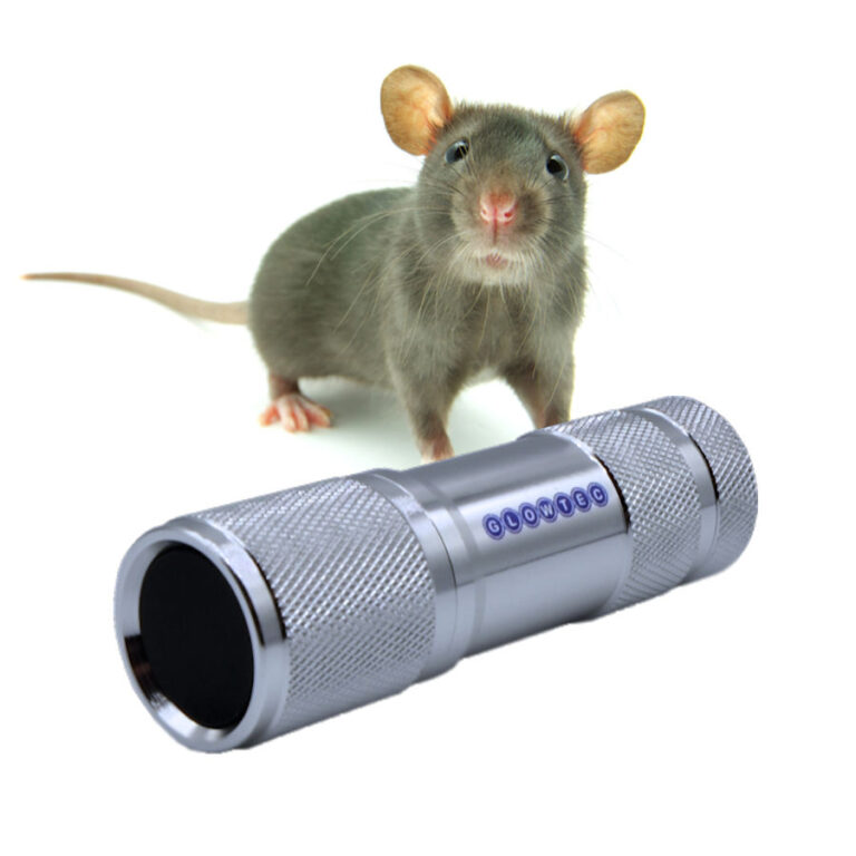 UV Rodent Detector Pro – GLOWTEC